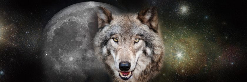 Home of Author Sunni Ellis - HORROR BY THE SLICE